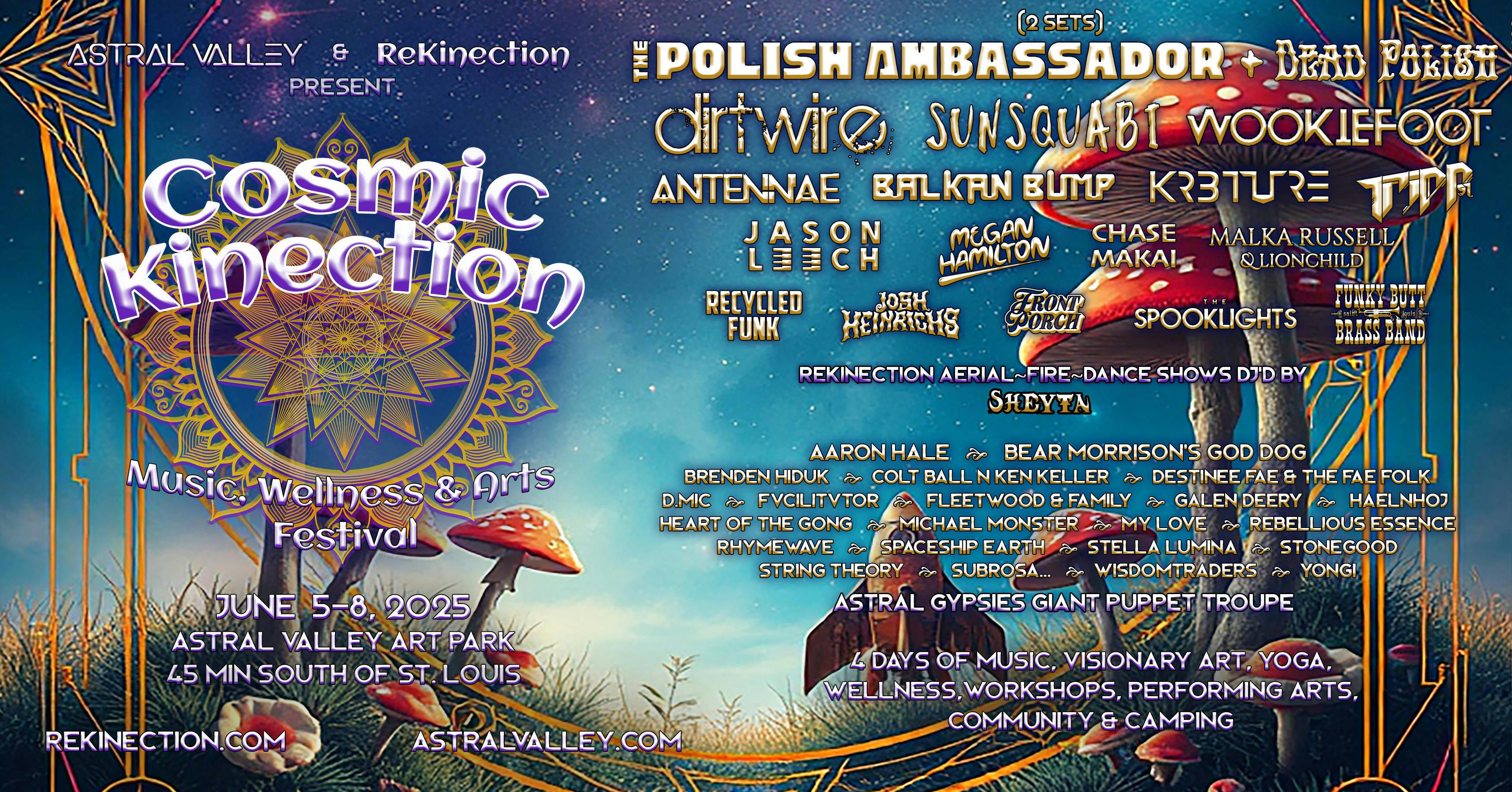 Cosmic Kinection 2025 | The Ticketing Co.